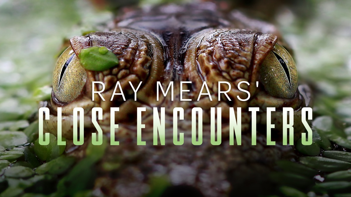 Ray Mears - Close Encounters | Apple TV