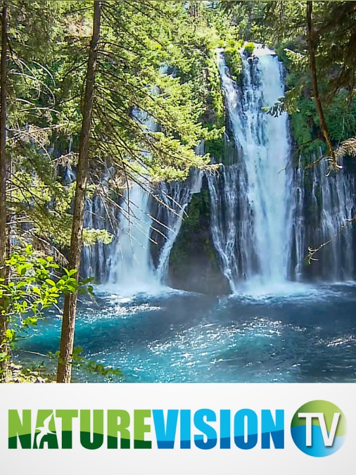 West Coast Waterfalls - Apple TV