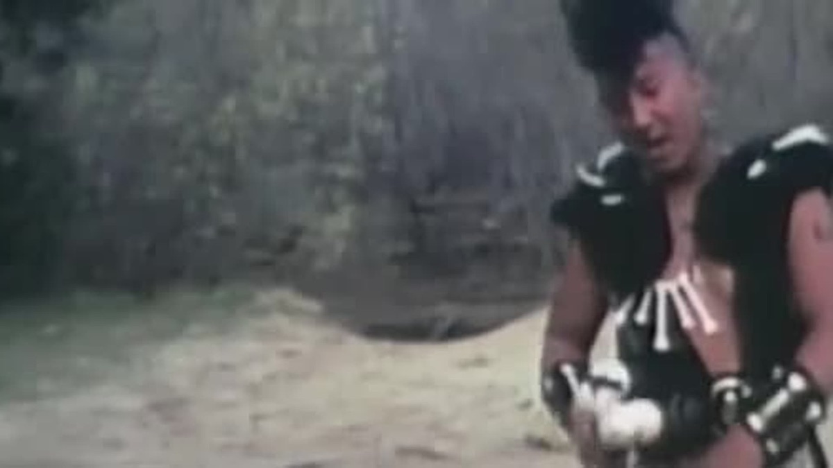 Kung Fu Rascals | Apple TV