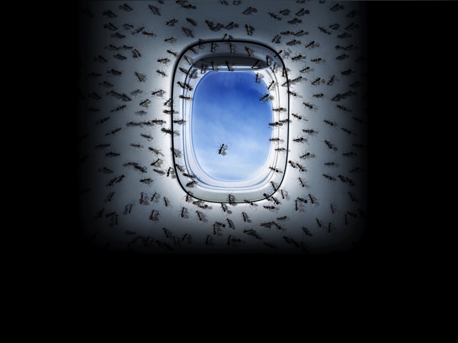 Destination: Infestation - Apple TV (PL)