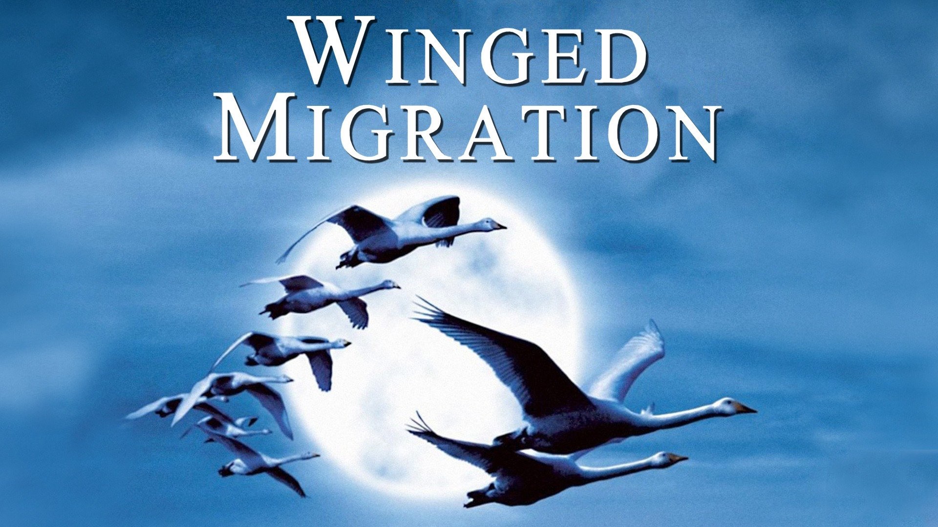 Winged Migration | Apple TV