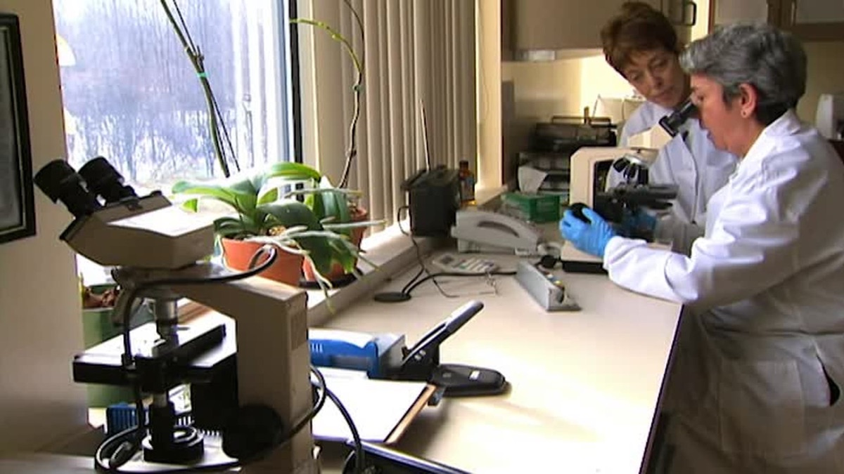 The Disappearing Male - Apple TV