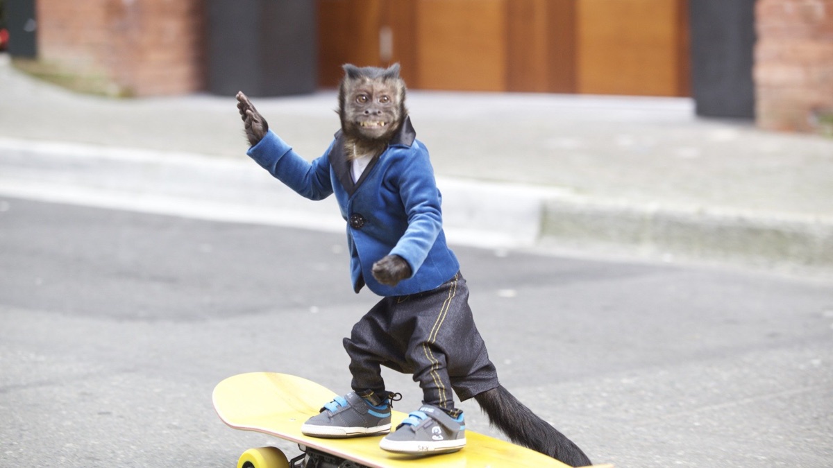 Monkey Up | Apple TV