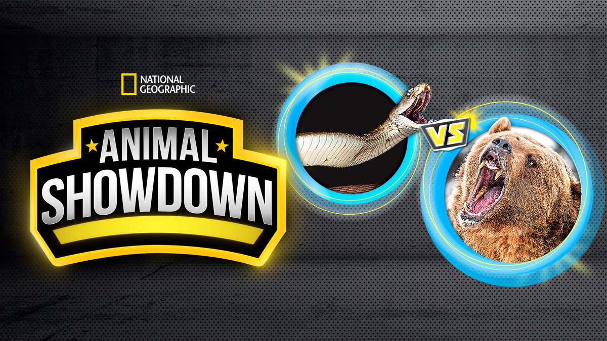 Animal Showdown | Apple TV