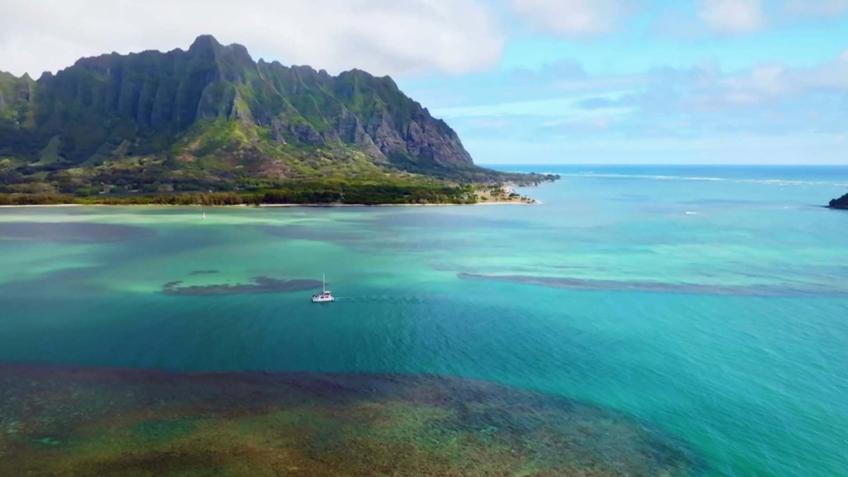 Les paradis naturels d'Hawaï | Apple TV (FR)